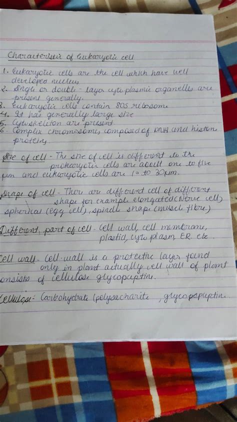 Characteristir Of Eukaryotic Cell Filo