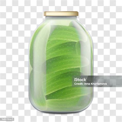 벡터 피클 항아리 그림입니다 항아리 안의 오이는 절일 준비가 되어 있습니다 유리병 안에 있는 오이의 사실적인 3d 벡터 디자인 요소 통조림 오이 흰색 배경에 격리되어