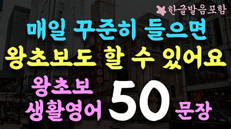 짧고 유용한 왕초보 생활영어 50문장매일 듣다보면 왕초보 탈출 가능1시간 흘려듣기왕초보 기초영어회화영어반복듣기영어단어반복듣기수면영어영상 78 Youtube