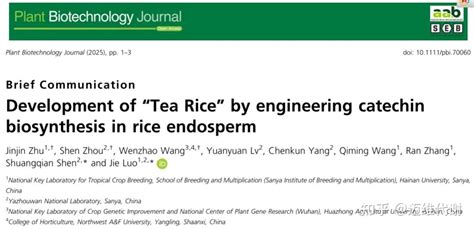 海南大学罗杰团队利用代谢组学成功开发富含儿茶素的“茶米” 知乎