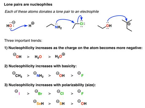 Which of the Following Compounds Is the Most Nucleophilic
