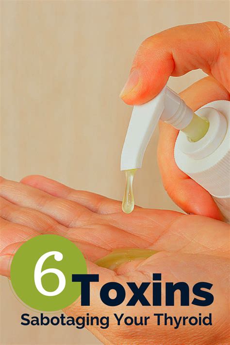 What Is T4 And T3 A Simple Guide For The Non Scientist Artofit