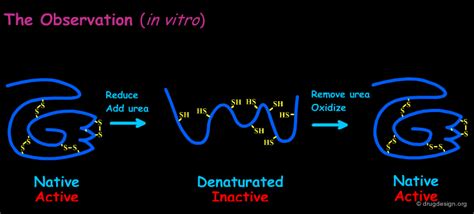 Protein Structure Drug Design Org