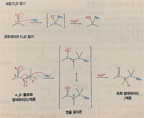 유기화학 18 알데하이드aldehyde 케톤 Ketone 제법 친핵성 첨가 반응 콘쥬게이션 친핵성 첨가