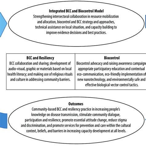 Flow Chart Of New Integrated Behavior Communication Change BCC And Download Scientific