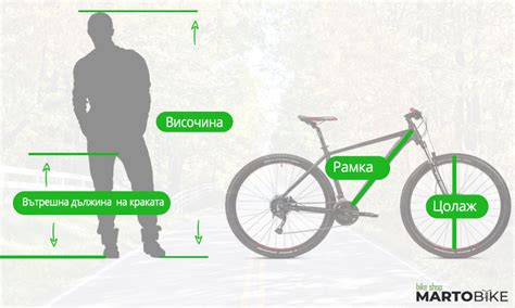 Избор на размер на рамка за велосипед - пълно ръководство - Martobike.bg