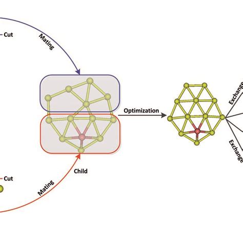 The Schematic Diagram Of Mating Operator By Cut And Swap Operator Via