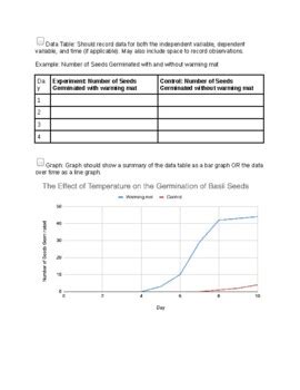 How To Write A Lab Report And Rubric By Jessica Nasseri TPT
