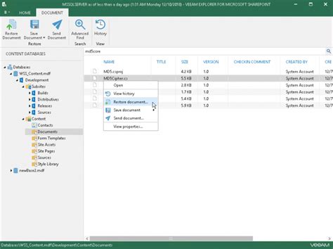Veeam Backup Sharepoint Bonkasap