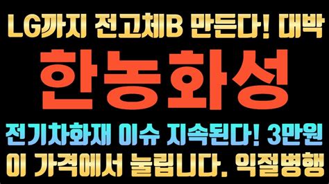 한농화성 주가전망 전기차화재 공포 하반기 지속 유일한 대안 전고체배터리급등모멘텀 유지 다만 익절병행 필요 한농화성 Youtube