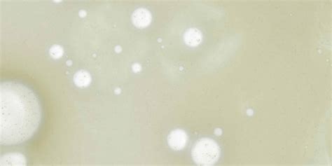 The Power Of Phospholipids 111skin The Power Of Phospholipids 111skin