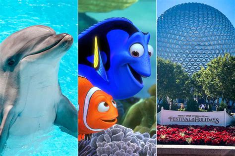 Disney World Removing Dolphins From Epcots Finding Nemo Attraction