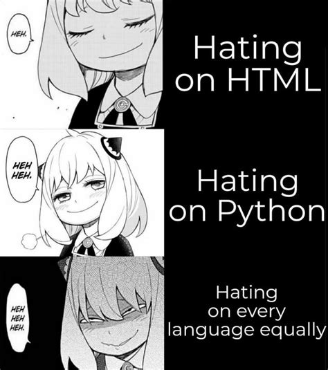what the git r programmerhumor