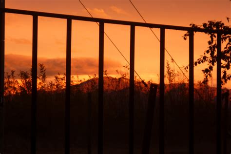 Moooooooooh Hey Pupa Pan