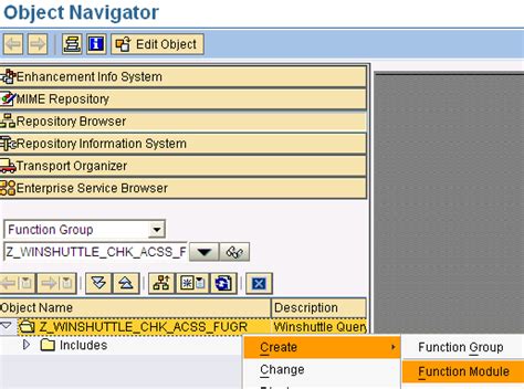 Query Custom Authorization Check Program Optional Feature
