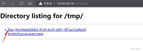 vulfocus 入门＋初级 csdn博客