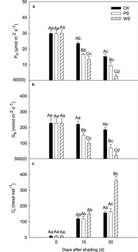 Effects Of Different Shading Treatments On Photosynthetic Rate Pna Download Scientific