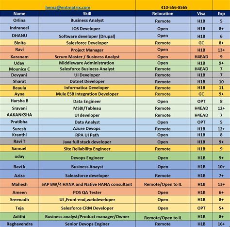 Javadeveloper Sap Saphana Businessanalyst Projectmanager