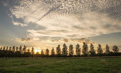 Smote For Imbalanced Classification With Python