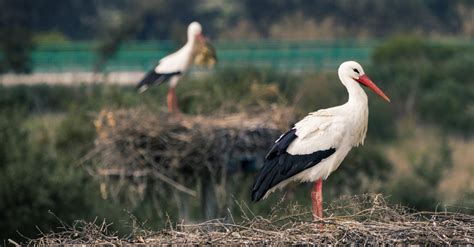 Министерство на Министерство на околната среда и водите