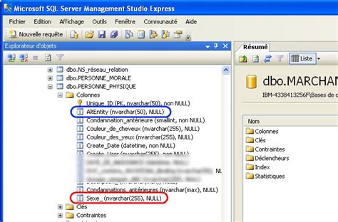 Problem With Icon Fields And Ibm I2 Intellishare