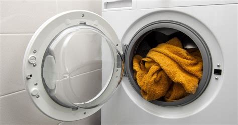 ხელოსანი სარეცხი მანქანის კარი რეცხვის შემდეგ ღიად არ დატოვოთ რჩევები ვივიენისგან