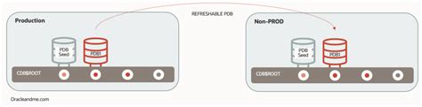 19c basic multitenant operation combinations oracle and me