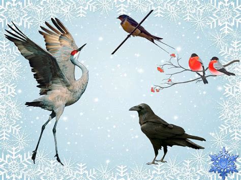 Речевая интерактивная викторина для детей старшей группы на тему «ЗИМА Online Presentation