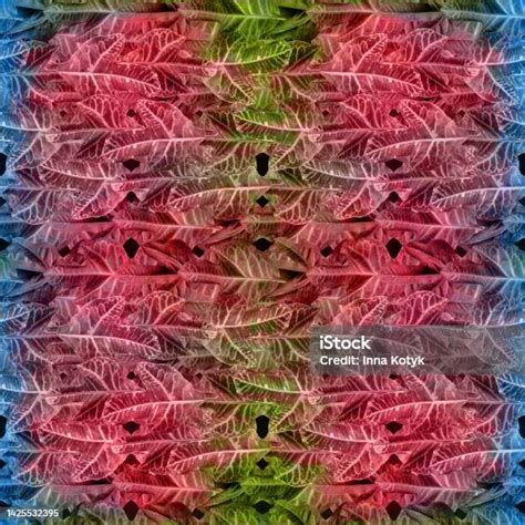 수채화 배경에 잎 식물 요소가있는 장식 구성 크로톤 원활한 패턴 에코 프린트 인쇄 된 제품 간판 포스터 엽서 포장을 사용하십시오 가을 단풍에 대한 스톡 벡터 아트 및 기타