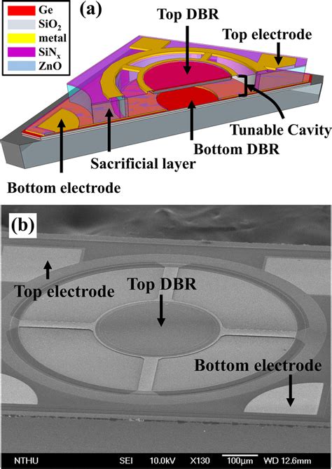 A 3d View Of The Designed Cross Sectional Structure And B Sem Image