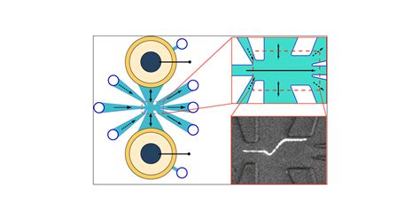 High Speed Discrimination And Sorting Of Submicron Particles Using A Microfluidic Device Nano