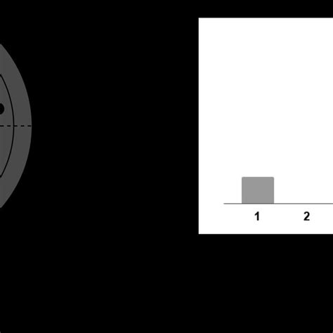 feature extraction method download scientific diagram