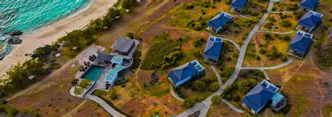 Constance Tekoma Rodrigues Deals Mu