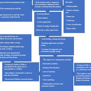Flowchart Of The Experimental Design Download Scientific Diagram