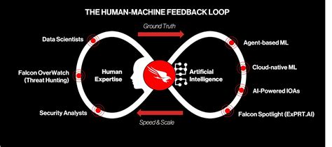 How Human Expertise Maximizes Detection Efficacy Across The Ml Lifecycle