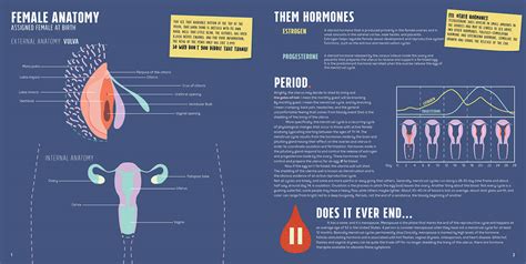 How To Sex A Guide To Your Downstairs Behance