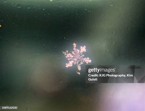 Snowflakes Microscope Photos Et Images De Collection Getty Images Snowflakes Microscope Photos Et Images De Collection Getty Images