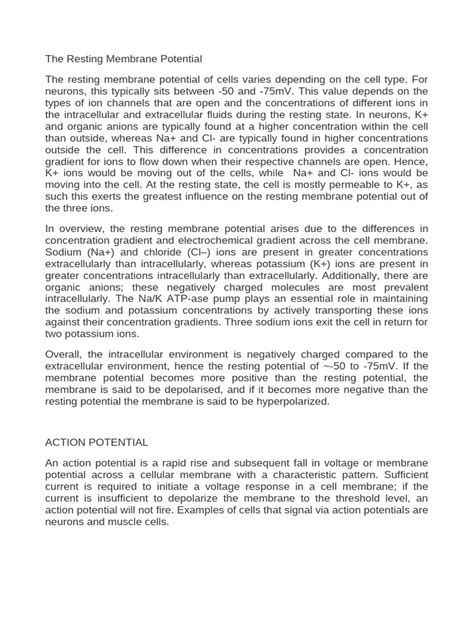 Action Potential Synapse Muscular Contraction Pdf Chemical Synapse Action Potential