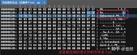 zip伪加密知识点 知乎
