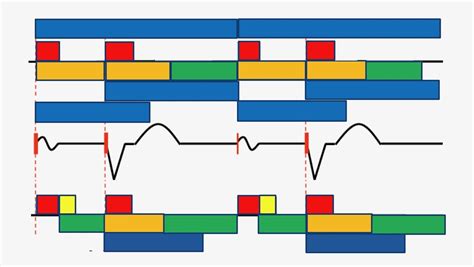 Timing Cycles Diagram Quizlet Timing Cycles Diagram Quizlet