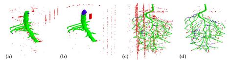 Comparison Between The Models Trained With The Original Dataset And The