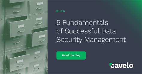 fundamental guide to successful data security management
