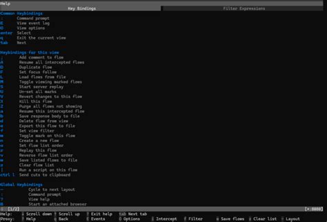 Mastering The Mitmproxy Mitm Interactive Proxy On Linux
