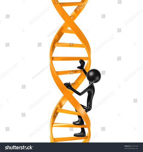 Dna Ladder Concept Stock Illustration 49167109 Shutterstock