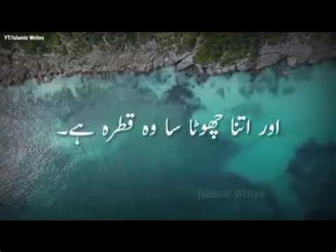 What Is Human Being Insan Kya Hai Youtube
