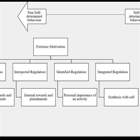 Self Determination Theory Model 22 Download Scientific Diagram