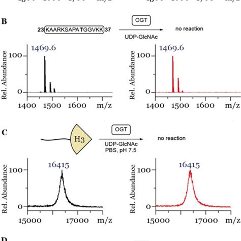 Maldi Tof Ms Data Showing That Histone Peptides A H3 1 15 B Download Scientific Diagram