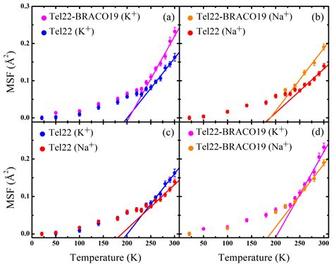 Polymorphism And Ligand Binding Modulate Fast Dynamics Of Human Telomeric G Quadruplexes