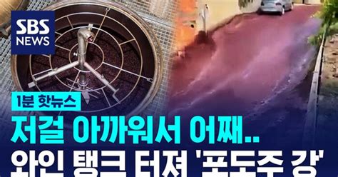 1분핫뉴스 저걸 아까워서 어째와인 탱크 터져 강 됐다