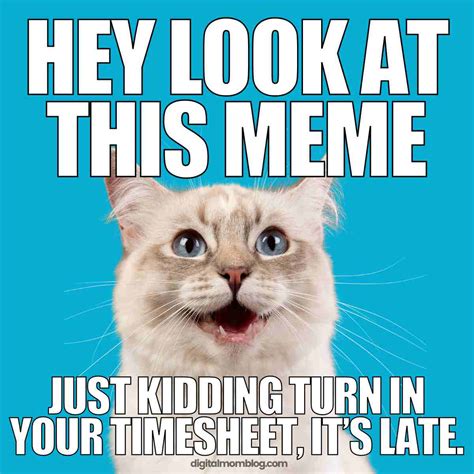 50 Funny Late Memes About Procrastination And Being Tardy
